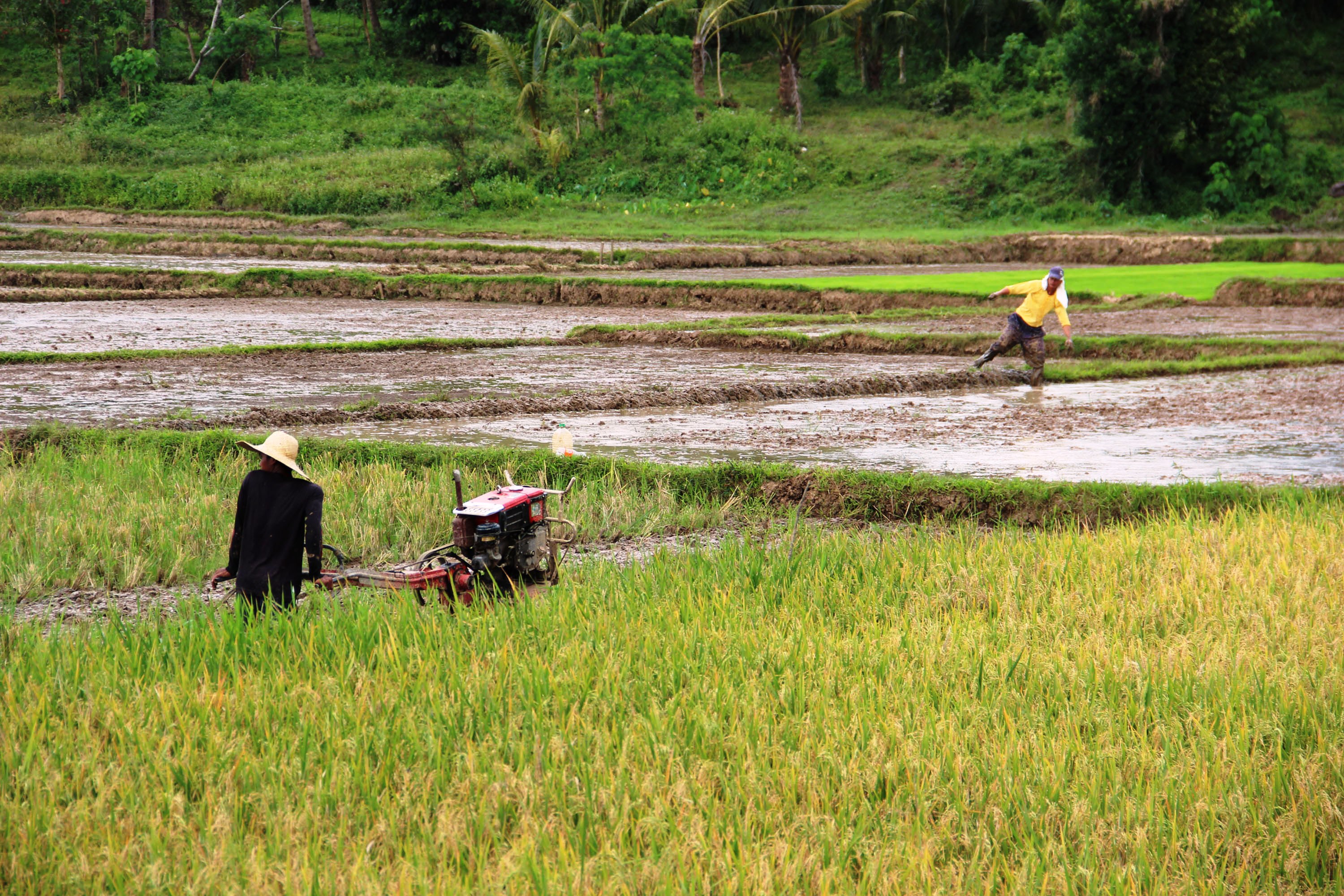 Filipino farmers are taking to climate-smart agriculture. Credit: Kara ...
