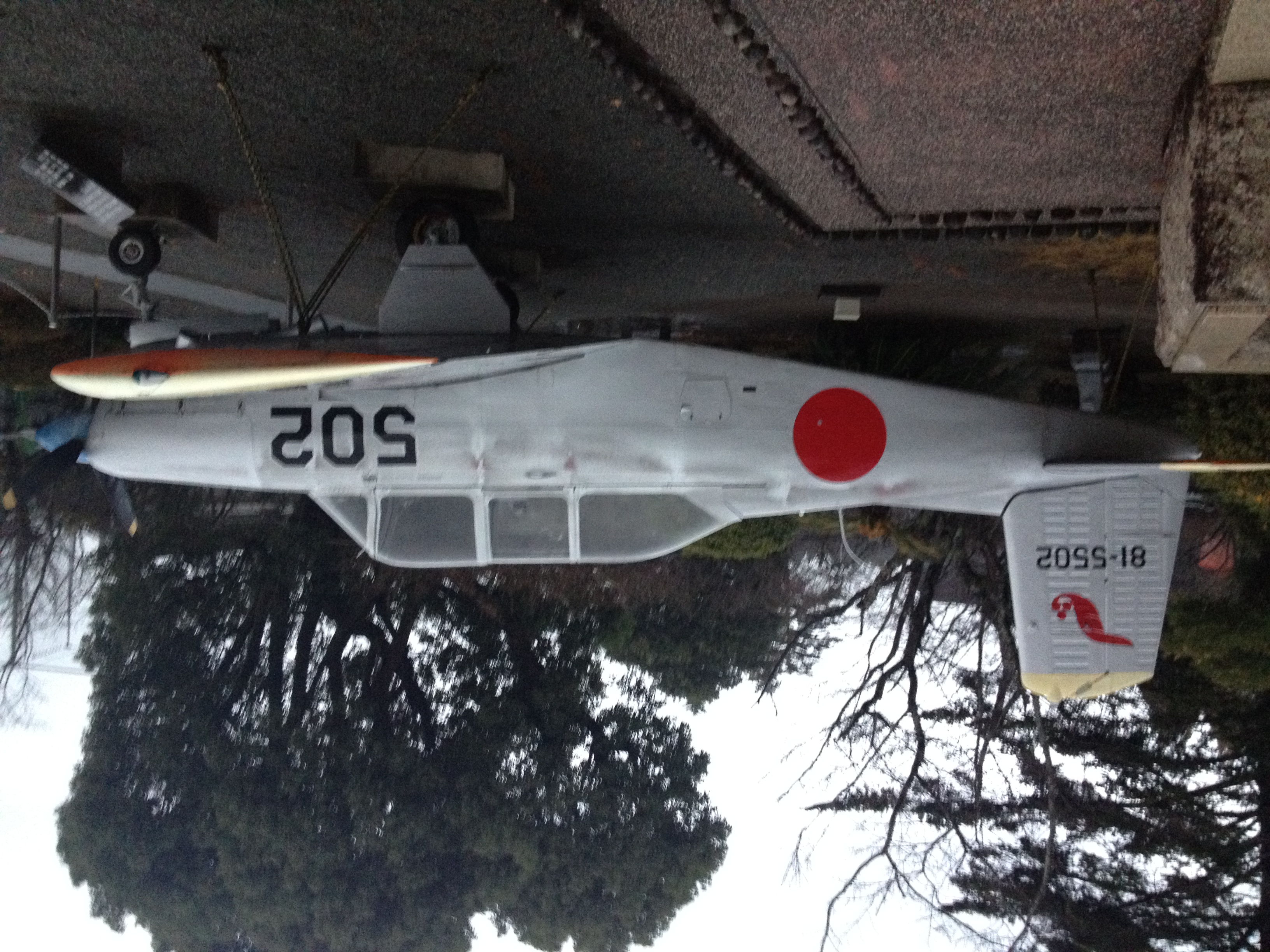 Japan plane - Inter Press Service | Inter Press Service
