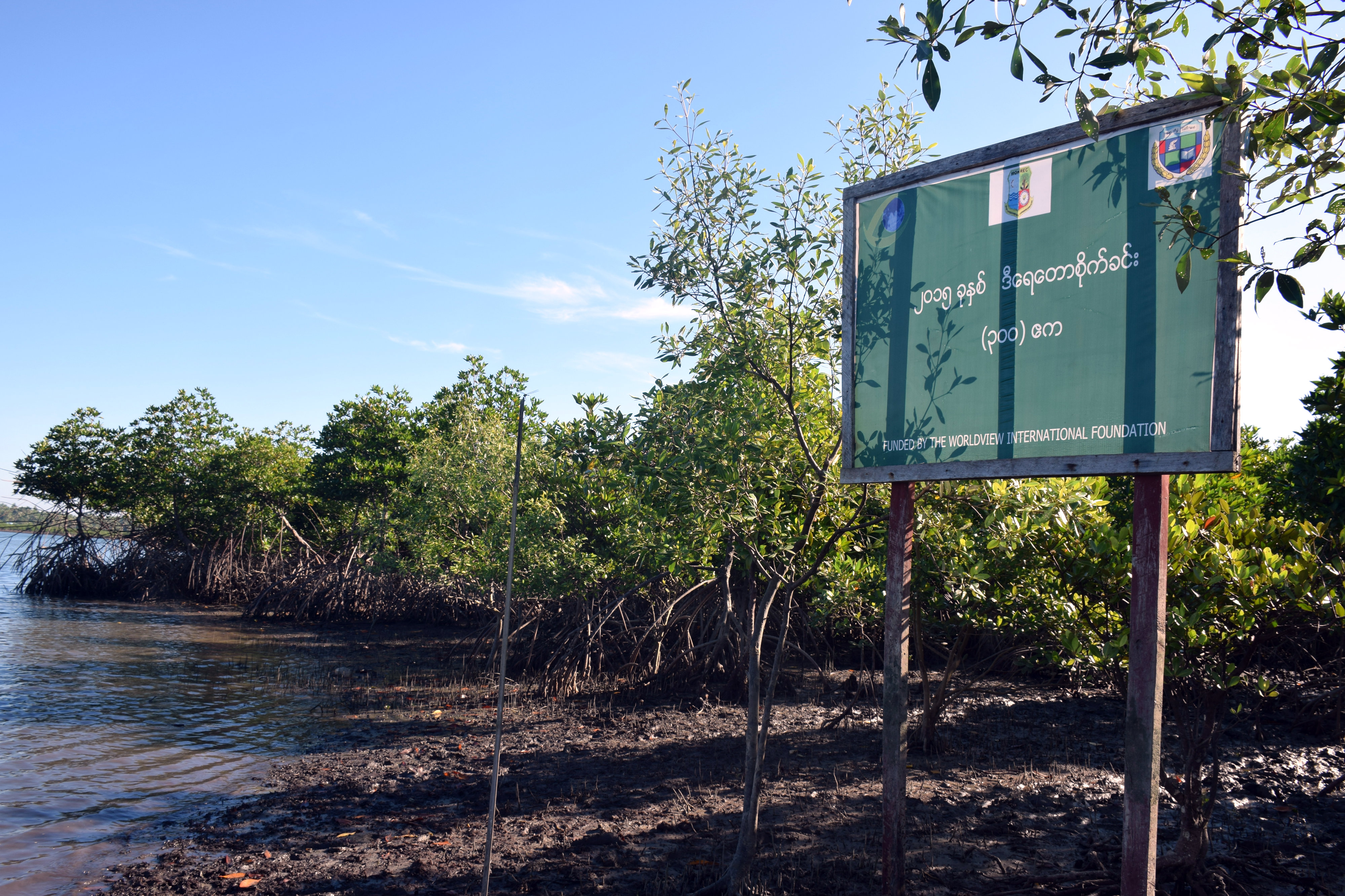 Worldview International Foundation (WIF) signboard by a mangrove forest ...