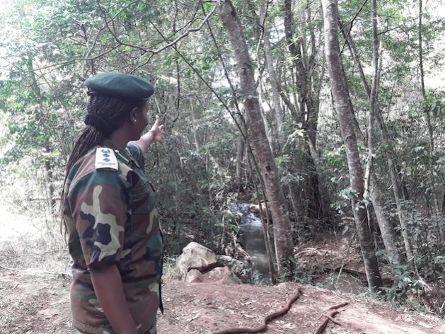 Guardians of Mother Earth Saving Mau, Revitalizing Native Lands | Inter ...