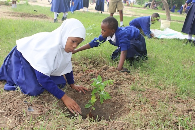 Tanzanian Students Drive Climate Action Through Tree Planting | Inter ...