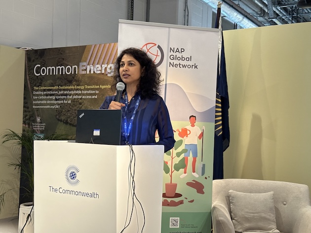 COP29 Must Set New Global Climate Finance Target - UNDP | Inter Press ...